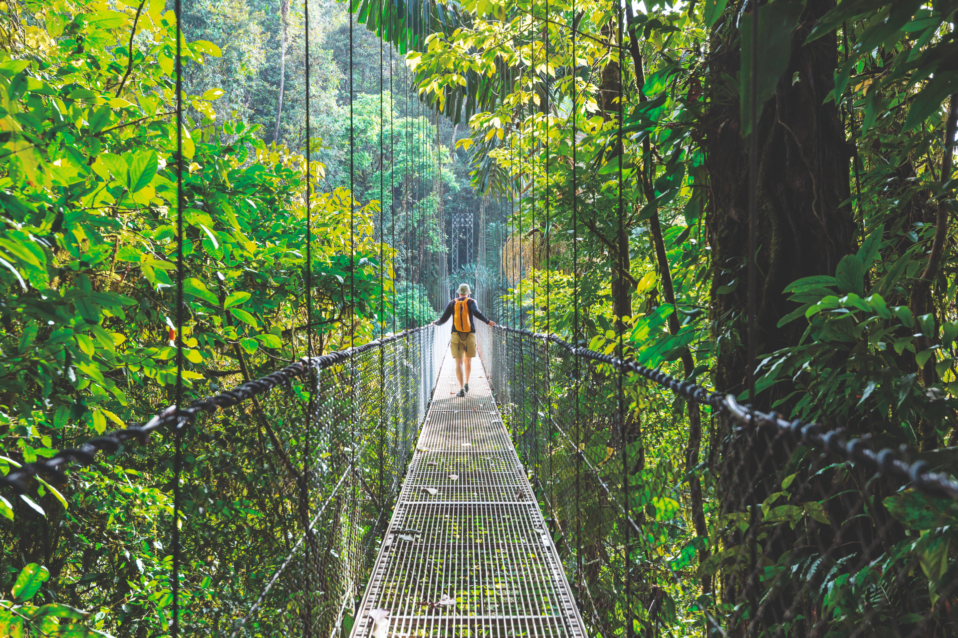 Costa Rica Rundreisen Gruppen Mietwagen V gele Reisen costa-rica-rundreisen-gruppen-mietwagen-v-gele-reisen